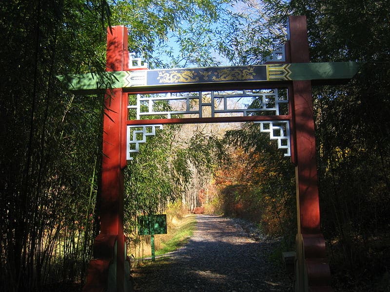 Lasdon Remembers The Vietnam War - Talk of the Sound