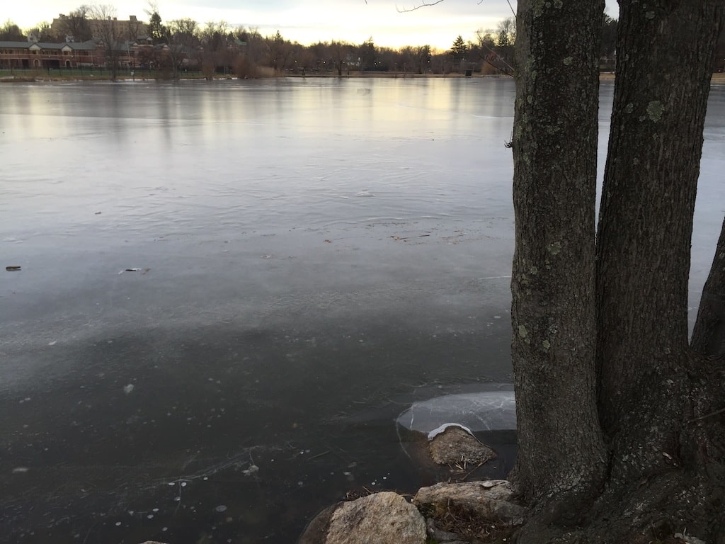 New Rochelle Opens Skating at Three Lakes - Talk of the Sound