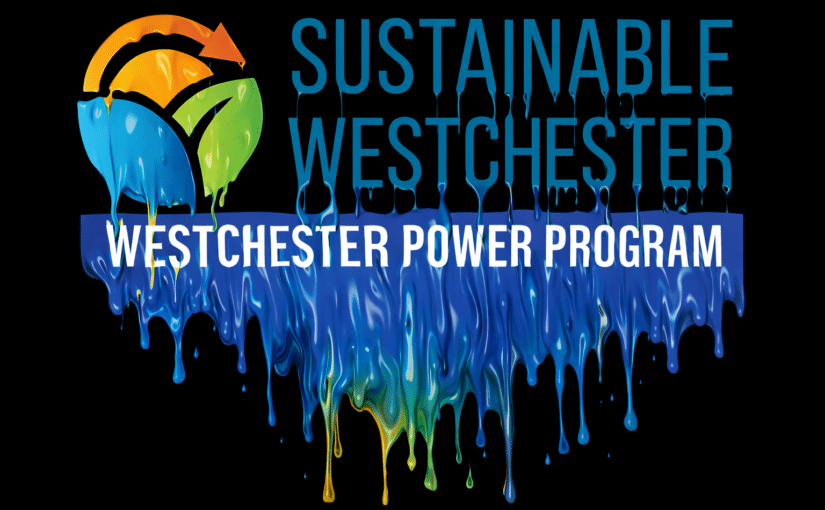 New York CCA Study Ordered by PSC, Awarded After Program Ended, Due ...