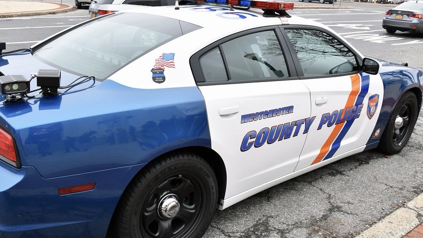 New Rochelle Gun Arrests: 2 Men Charged, Released Without Bail - Talk ...